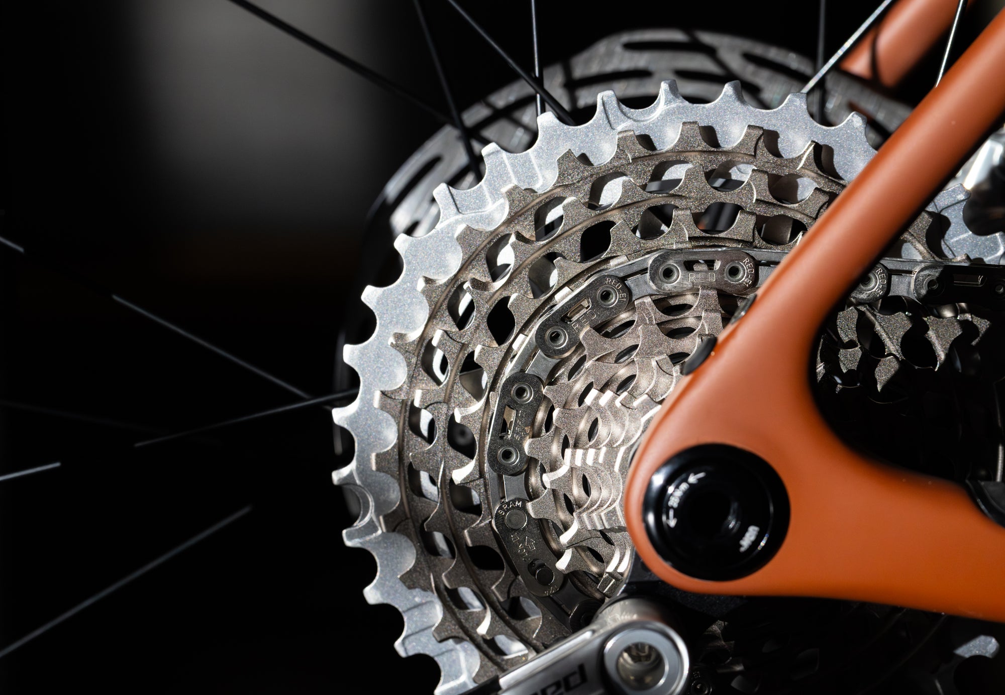 Custom Bike Builds – Alpha Bicycle Studio