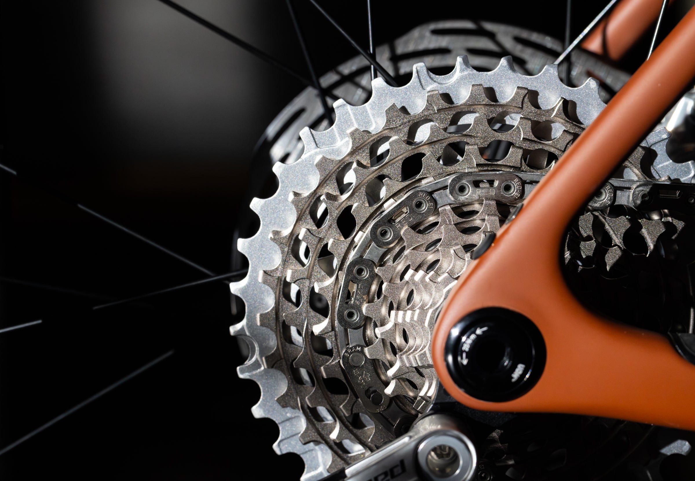 Custom Bike Builds – Alpha Bicycle Studio